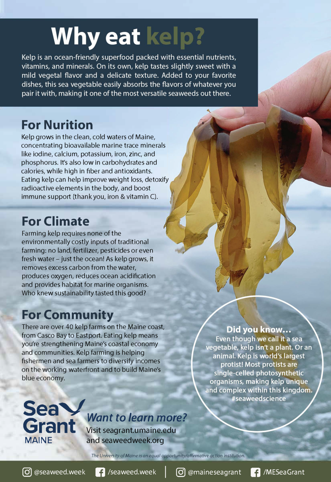 Recipes – Seaweed Week