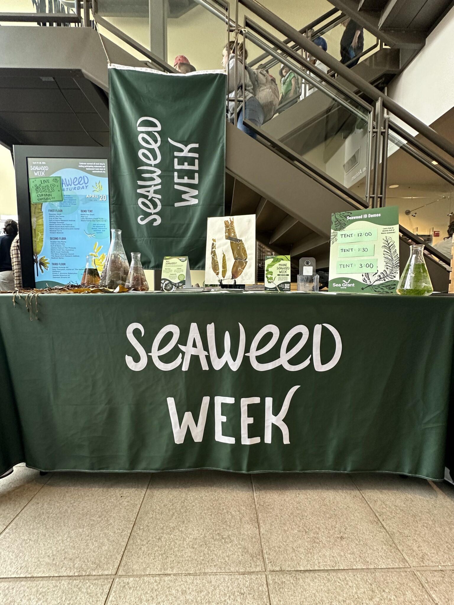 Seaweed Week – A Food and Drink Festival Celebrating Maine's Kelp Harvest